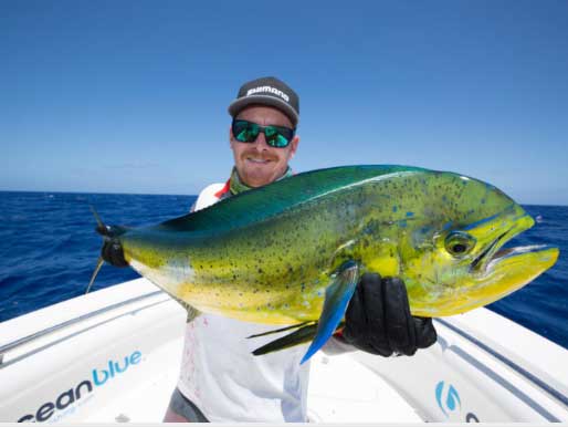 Facts About Mahi-Mahi | Ocean Blue Fishing