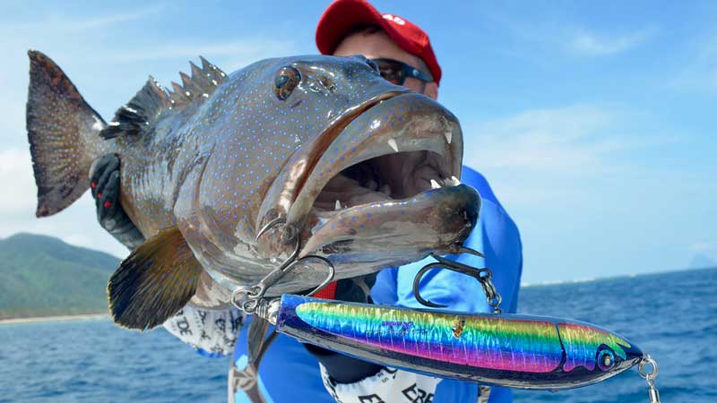 How to Fish Using Stick Baits | Ocean Blue Fishing