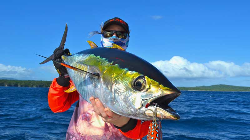 Facts About Yellowfin Tuna | Ocean Blue Fishing
