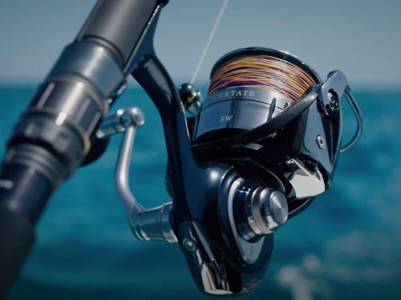 DAIWA Certate SW 5000:6000 | Ocean Blue Fishing