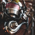 DAIWA Certate SW 5000:6000 | Ocean Blue Fishing