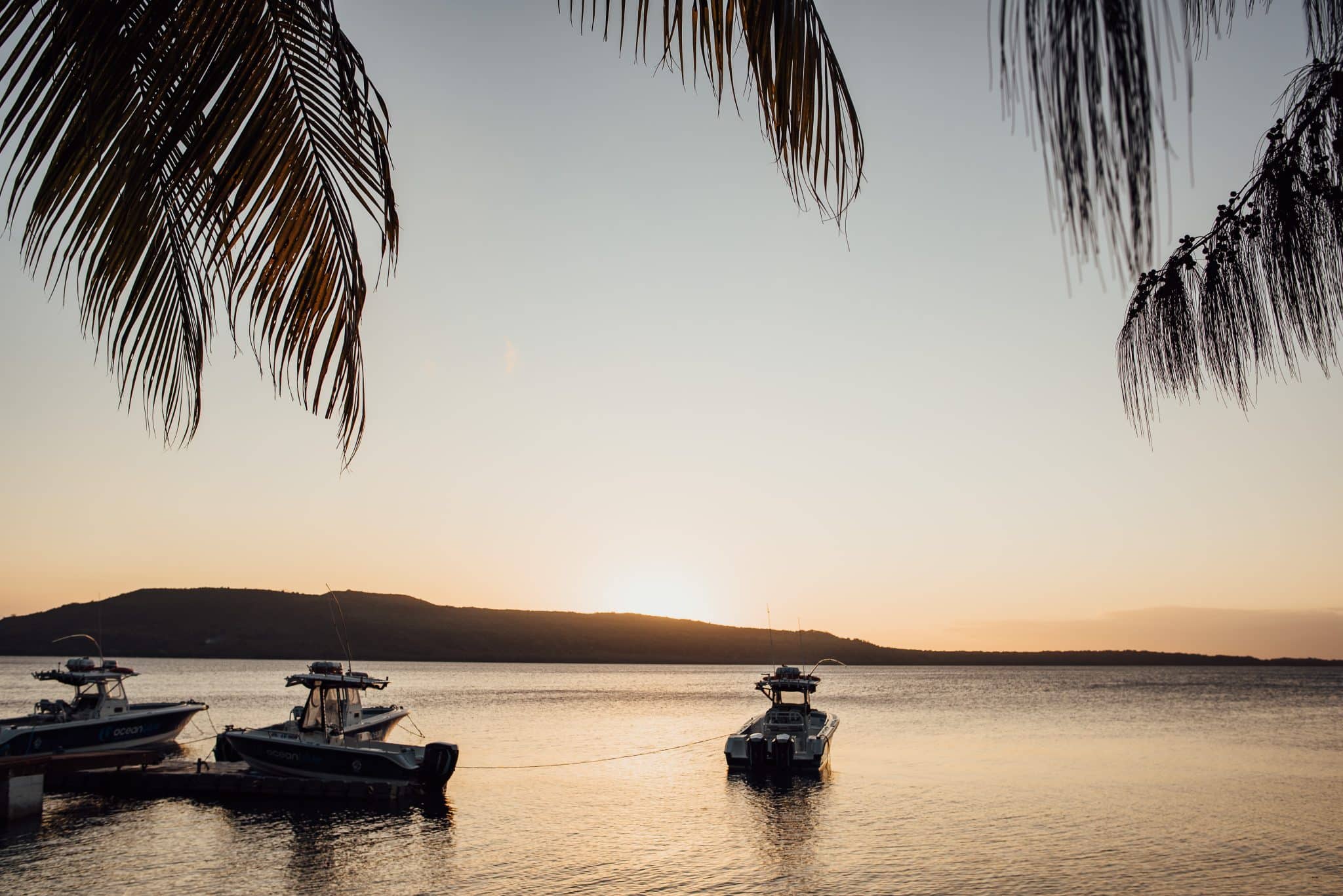 Fishing Photography Tips: Capture the Perfect Shot