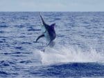Fishing Photography Tips: Capture the Perfect Shot